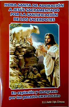 Padre Jesus Ceja – Mundo Católico